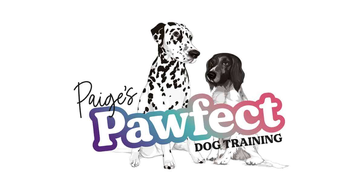 Training classes - Paige's Pawfect Dog Training